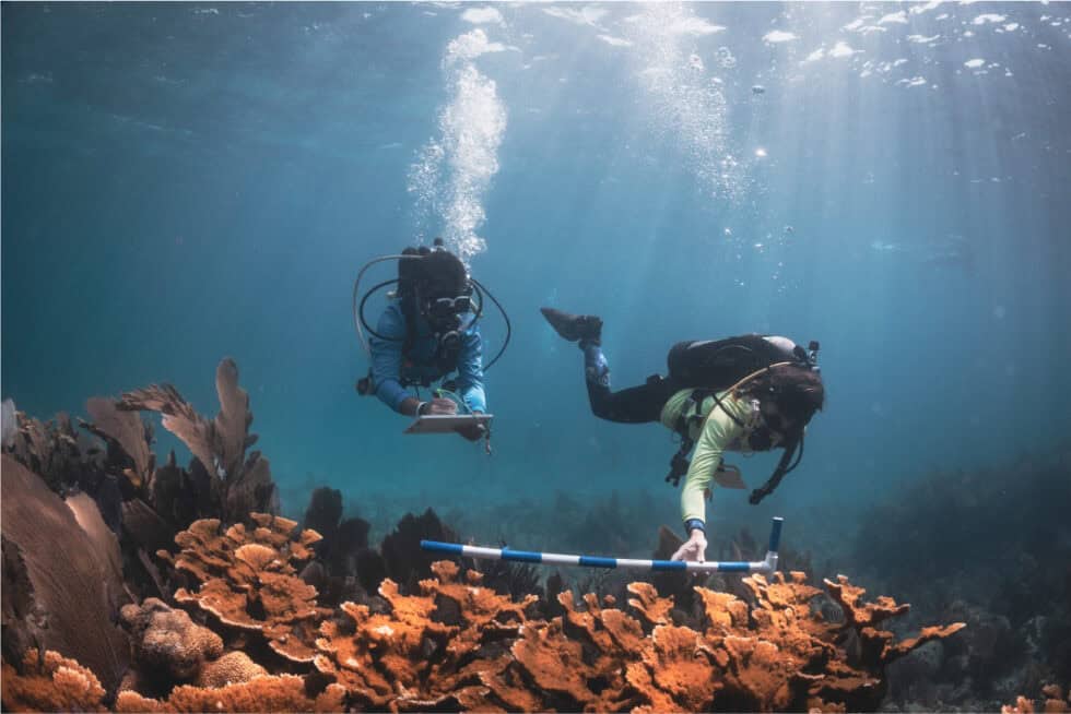 Home - Mission: Iconic Reefs