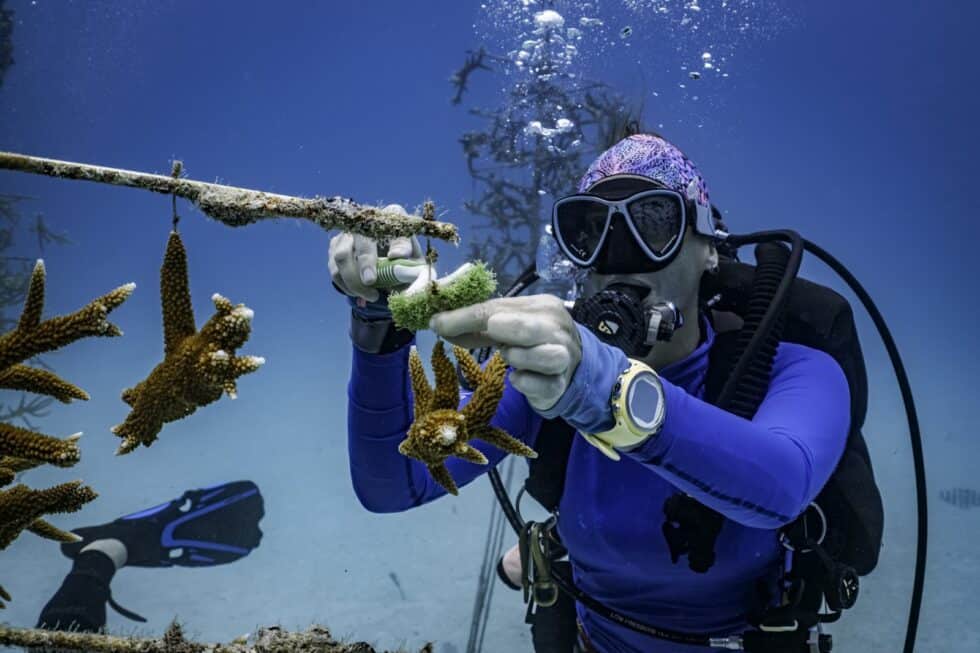Guardians - Mission: Iconic Reefs